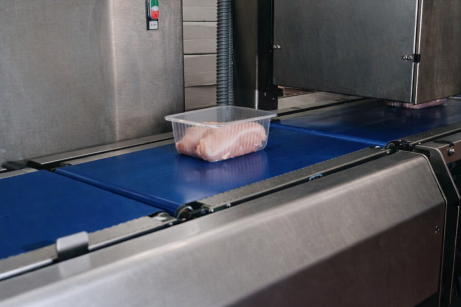 Chicken Bone Detection Using X-ray Inspection - Sens Tech